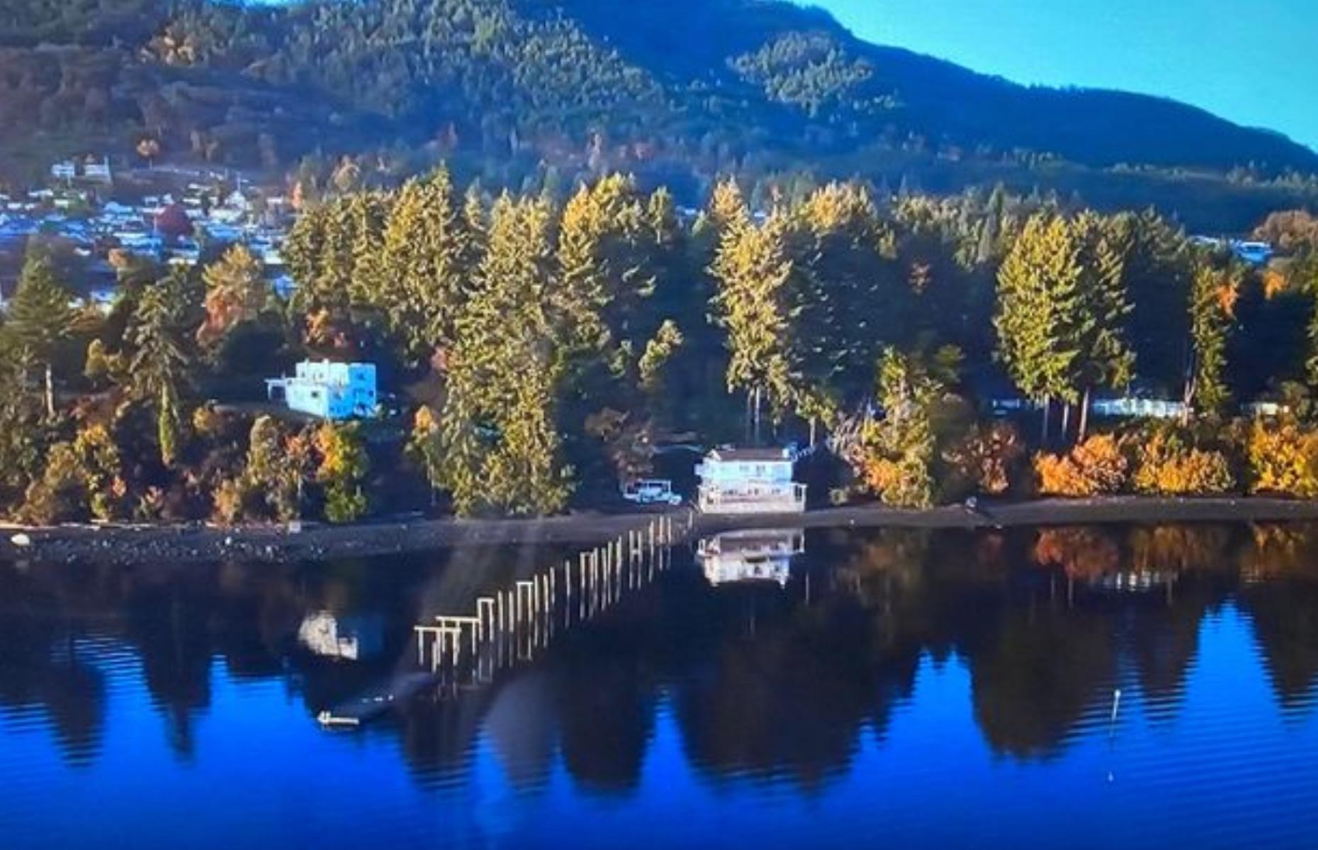 See Pamela Anderson's incredible home renovation