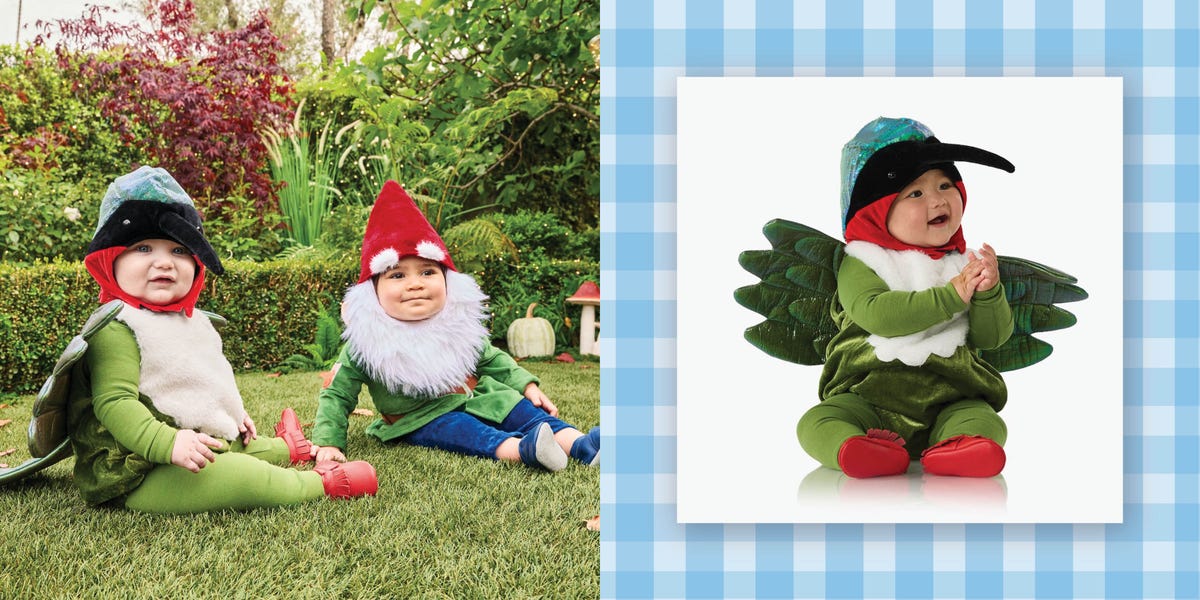 This Hummingbird Costume Might Be the Sweetest Thing You’ll See on ...