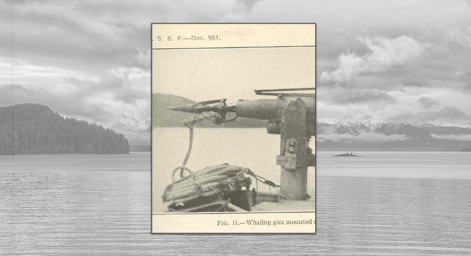 142 years of trauma: When the Navy obliterated a Tlingit village in Alaska