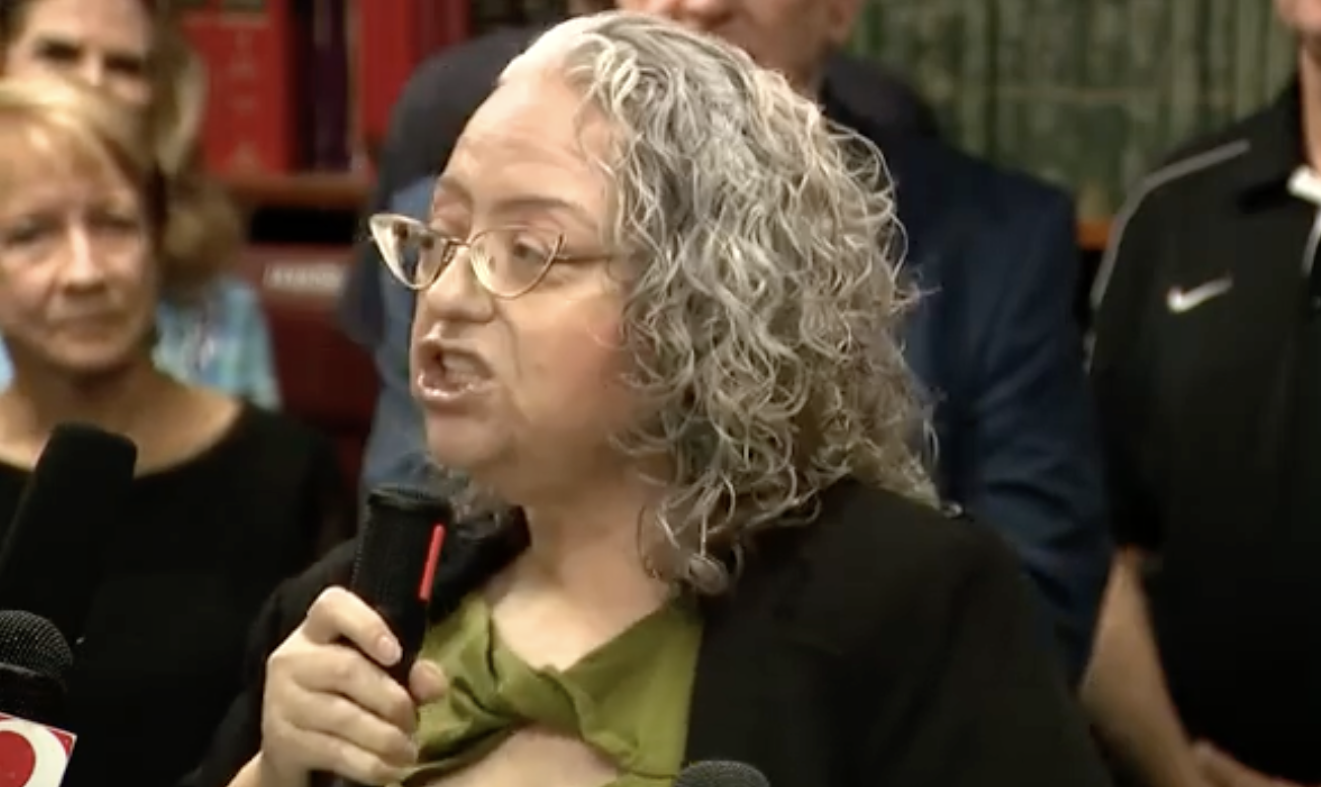 'Does He Think He's Picasso?': Rep. Rita Harris Mocks DeSantis ...