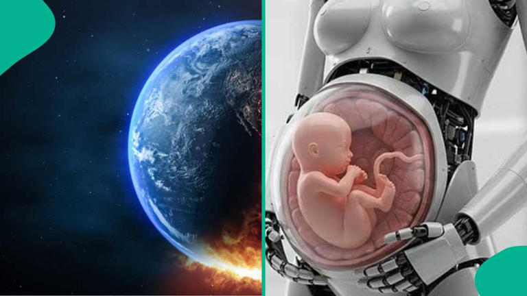 Scientists to develop world’s first pregnancy robot that could give birth