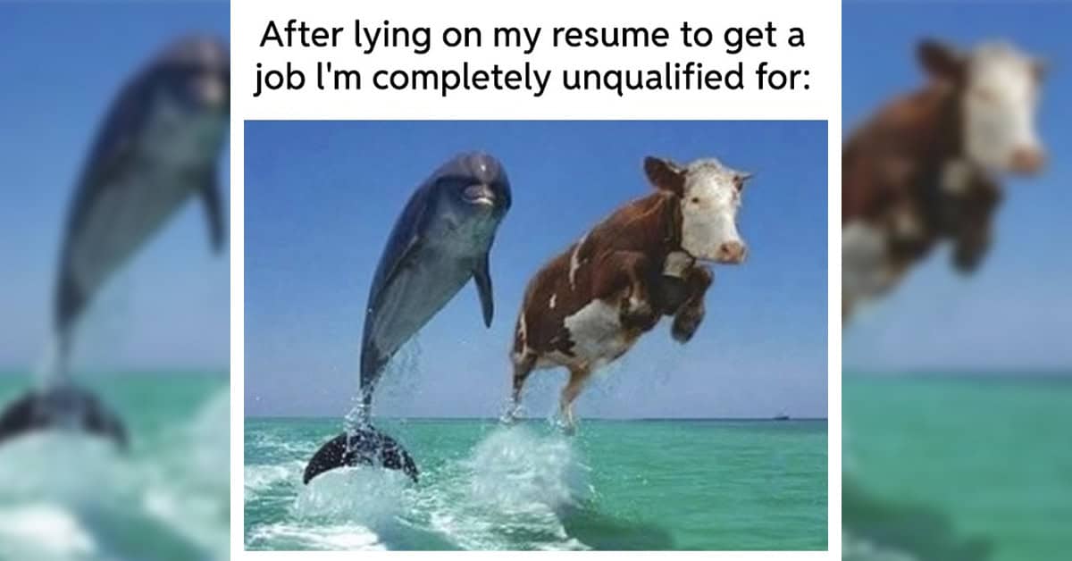 35 Funny Work Memes That Make Mondays Slightly Less Terrible (August 18, 2025)