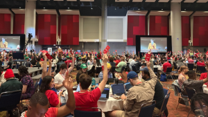 Mass Socialist Politics vs. Vanguard Party