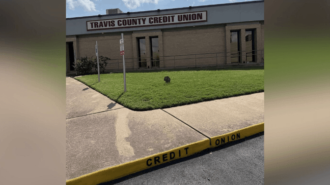 Travis County Credit Union becomes "Credit Onion" in curbside paint mistake