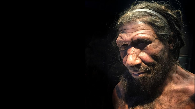 Gene that differs between humans and Neanderthals could shed light on ...