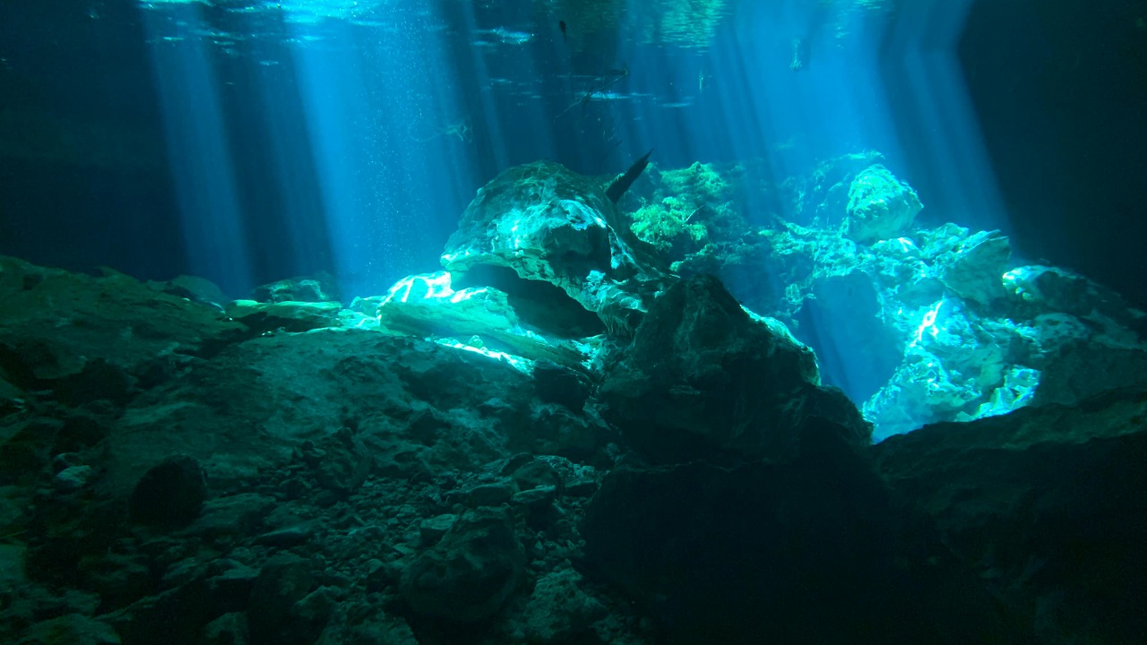 Scientists discover new form of life in ocean depths