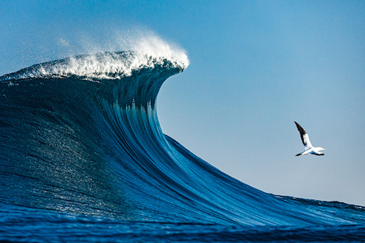 Powerful, dangerous Hurricane Erin could generate 100-foot waves