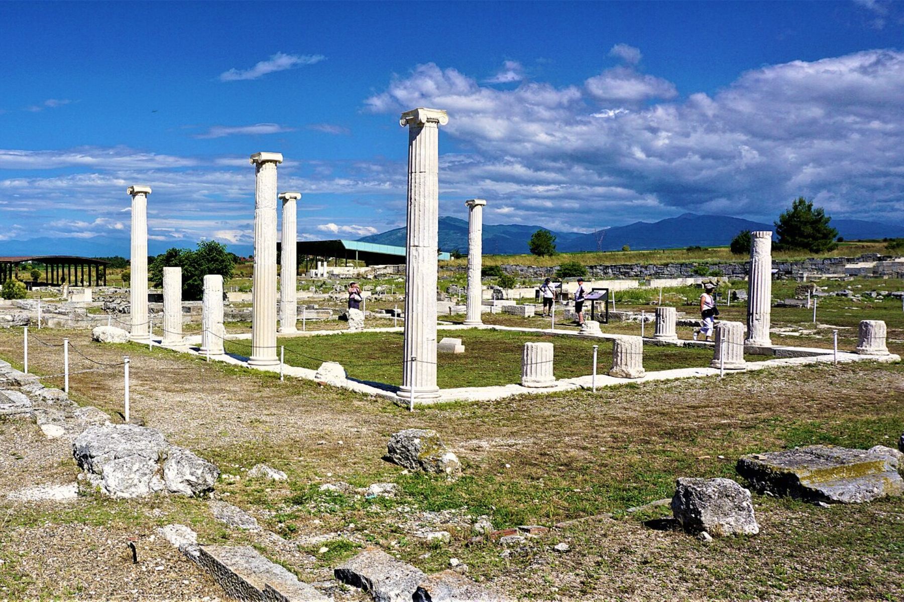 Alexander The Great’s Iconic Moments And Battles