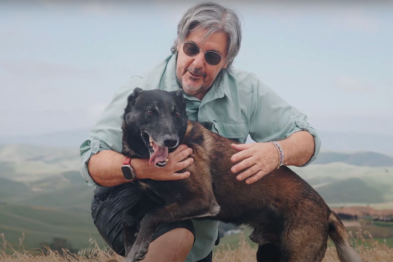 Hero Dog Saves Owners from 'Real-Life Bullfight' After Agitated Animal ...
