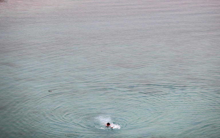 Shark attack leaves American tourist in Bahamas with 'severe injuries'