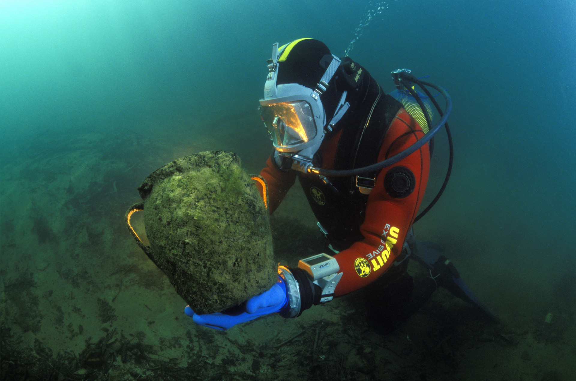 Strange discoveries found in unlikely locations