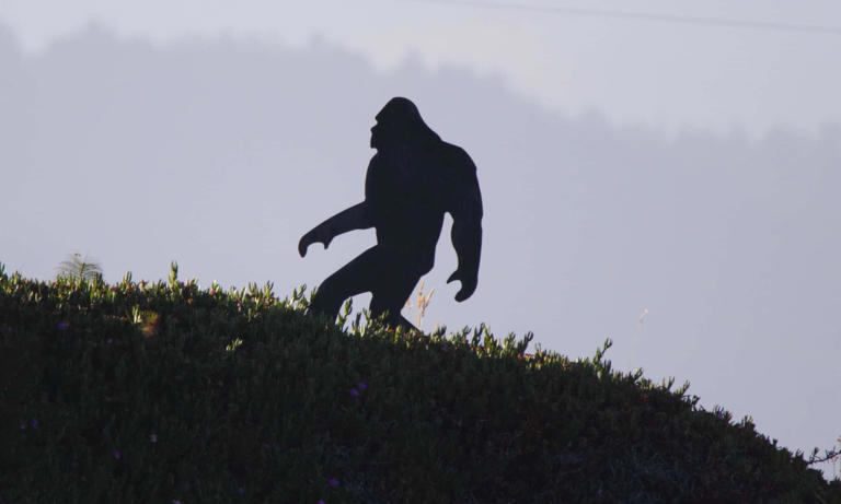 The Us County That Made Bigfoot Hunting A Felony