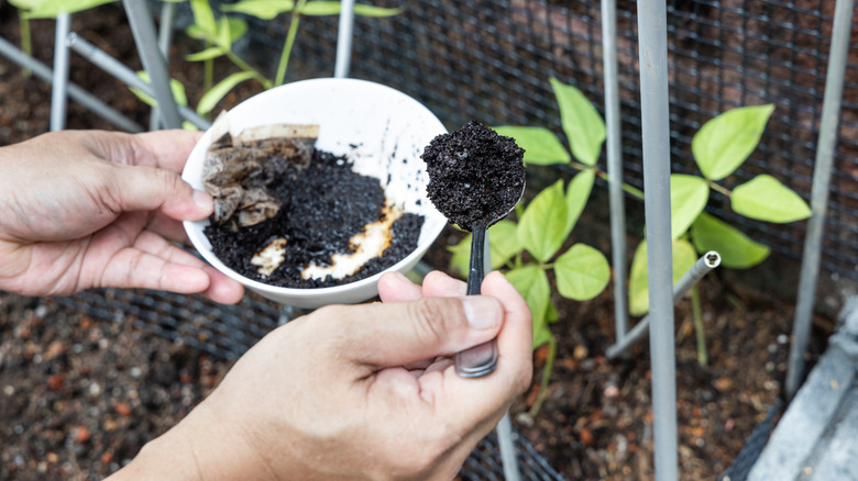 Don't Throw Out Those Coffee Grounds! Use Them As A Natural Mosquito ...