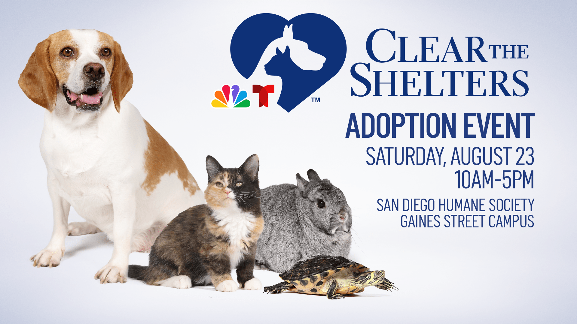 Celebrate Clear the Shelters during NBC 7 and Telemundo 20's annual pet ...