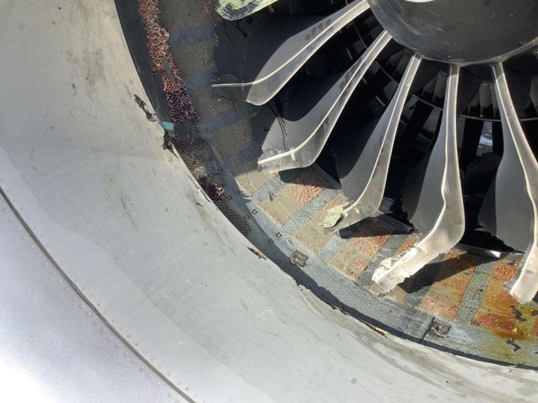 Aviation Safety Report Shows Higher Accident Count in 2024