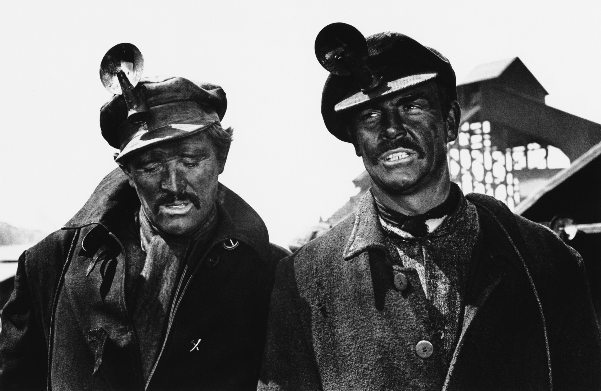 The Irish secret society that reached America