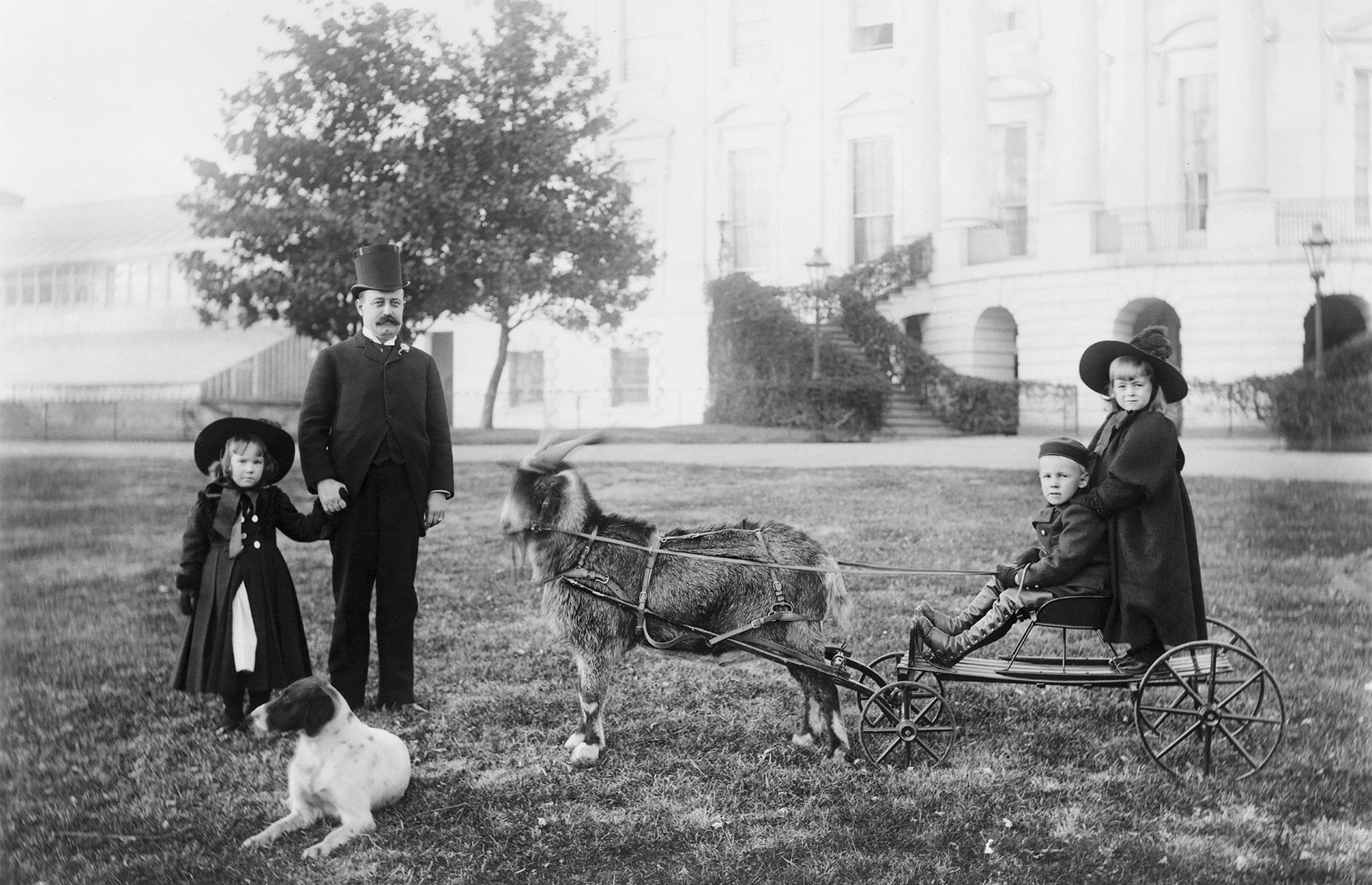 See 21 famous pets who lived in the White House
