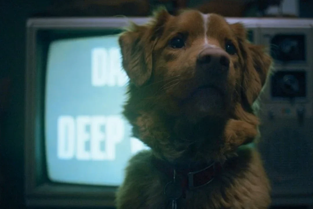 ‘Good Boy’ Trailer Digs Into Haunted House Horror From the Dog’s ...