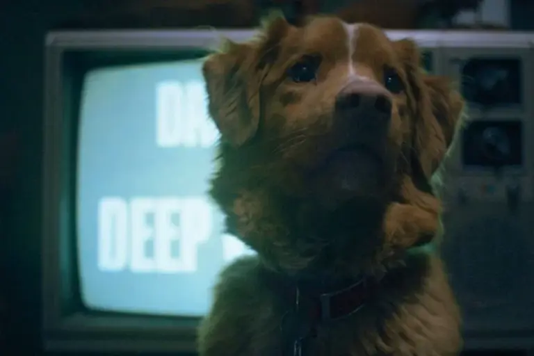 ‘Good Boy’ Trailer Digs Into Haunted House Horror From the Dog’s ...