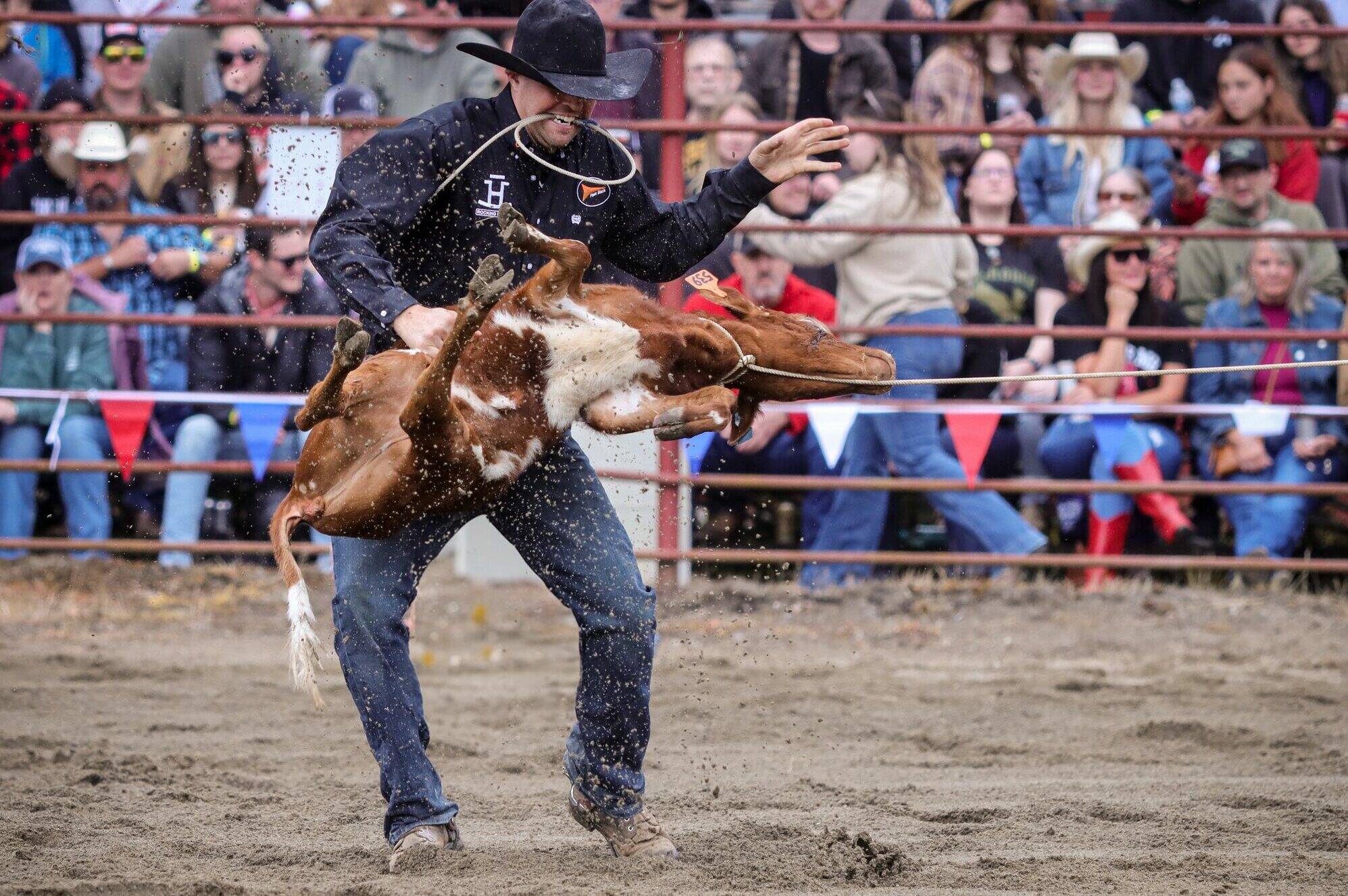 Local calf roper preps for Enumclaw Pro Rodeo, aims for NPRA finals