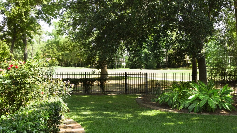 The 15 Best Plants To Grow In Partial Shade To Transform Your Yard And ...