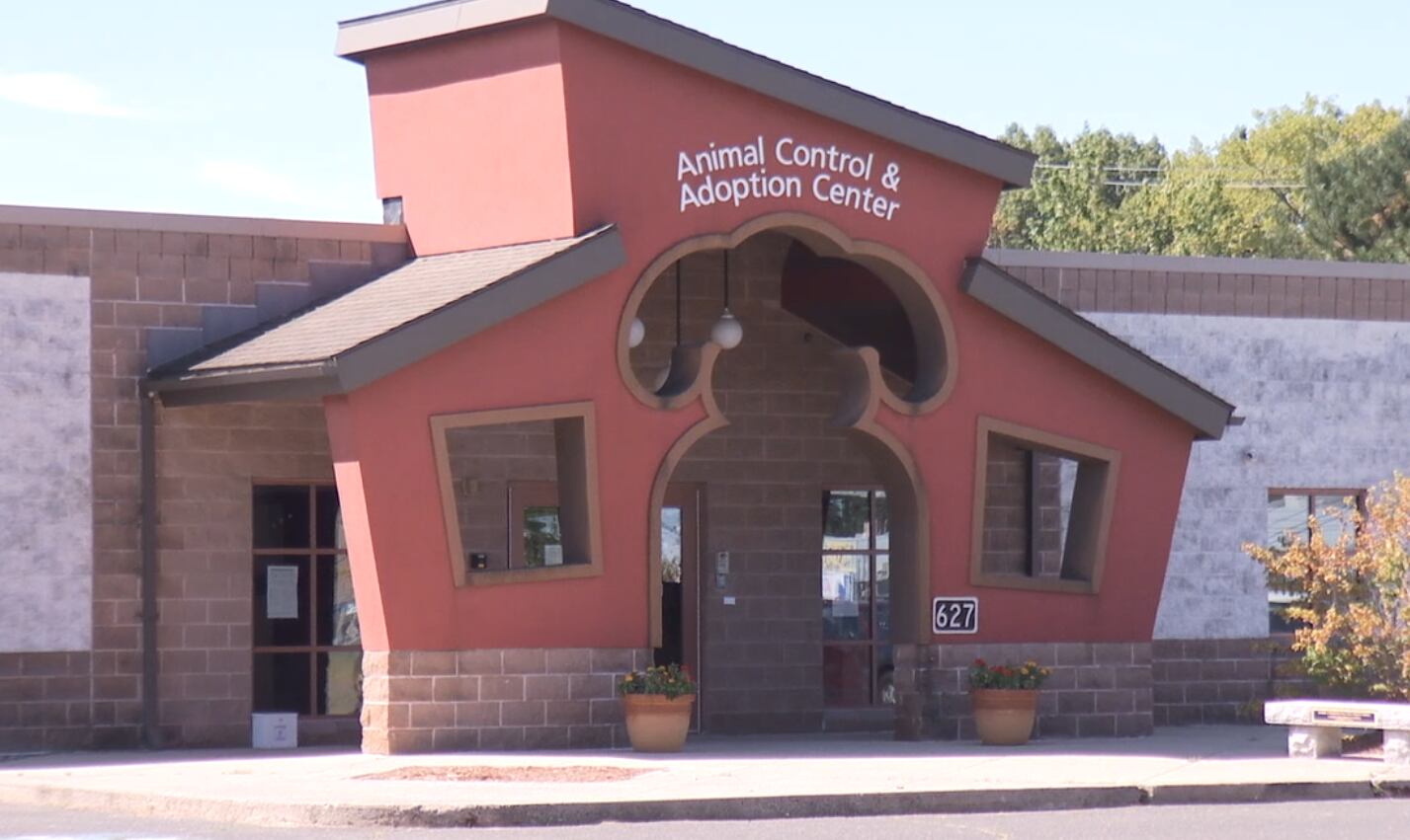 Thomas J. O’Connor Animal Control & Adoption Center ‘Giving Tuesday ...