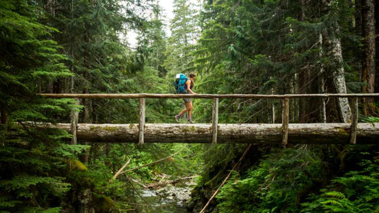 Why Is the Pacific Northwest So Rainy?