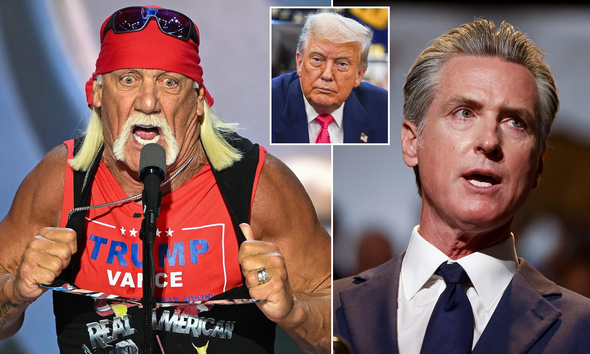 REVEALED: What Hulk Hogan really thought of Gavin Newsom