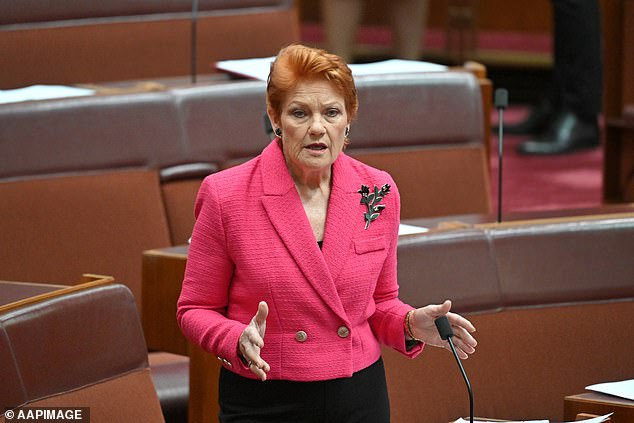 Pauline Hanson makes major One Nation announcement as shock resignation ...