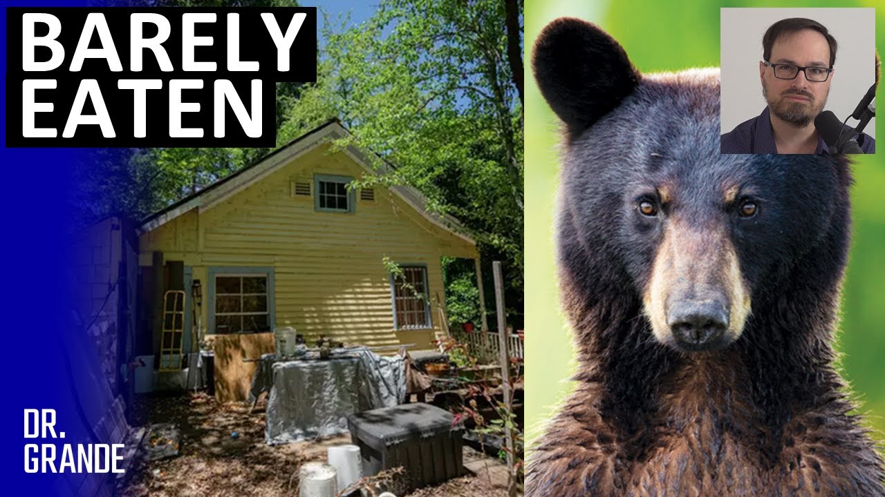 ‘Stalker’ Bear Breaks Into Home and Eats Woman | Patrice Miller Case ...