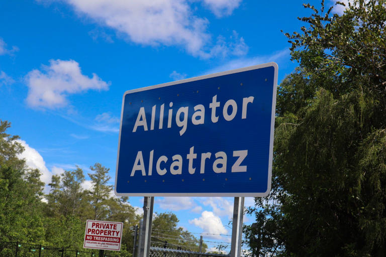 Retired Florida dairy farmer: Here's some insight into the raw milk ...