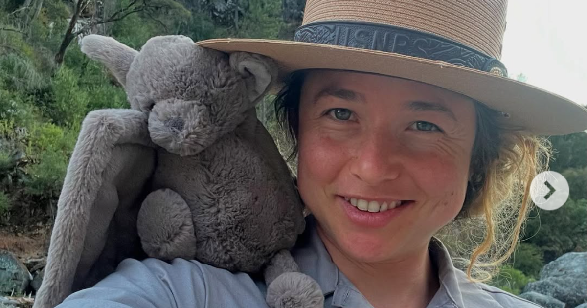 Nonbinary biologist fired for hanging large trans Pride flag in ...