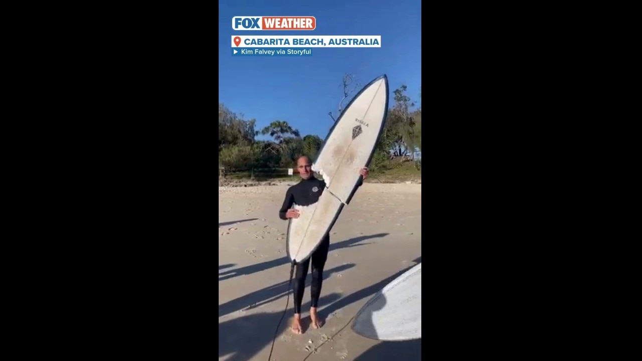 An Australian surfer was lucky to escape in one piece after a shark ...
