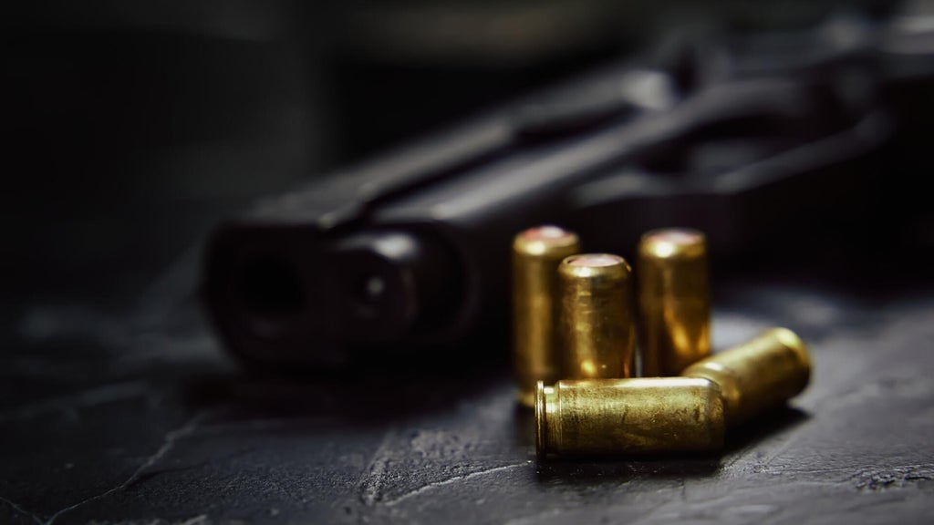 Ramsey County judge strikes down ban on binary triggers for firearms