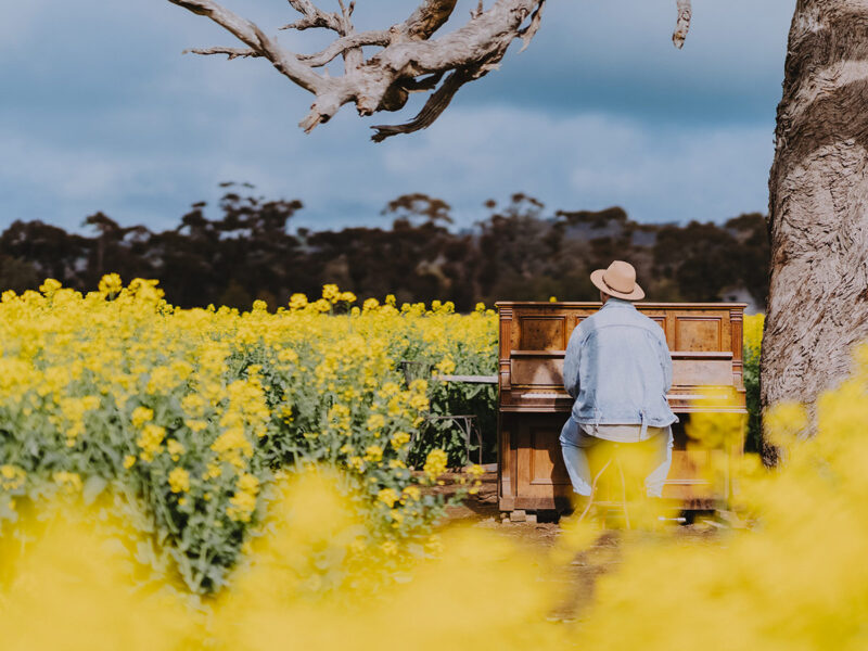 This Vic walk through golden canola fields ends with beer and wine