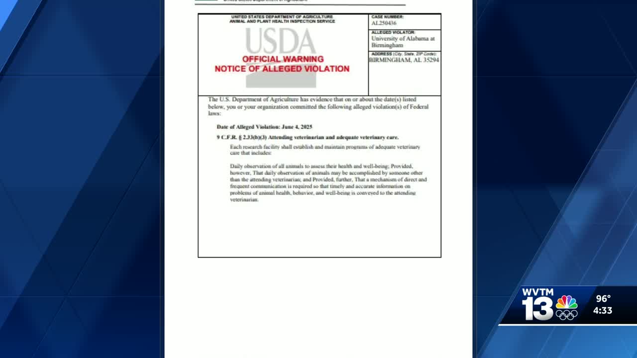 UAB under fire from PETA as federal inspectors detail piglet deaths ...