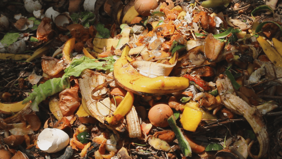 Shasta County residents face fines for improper waste sorting under new law