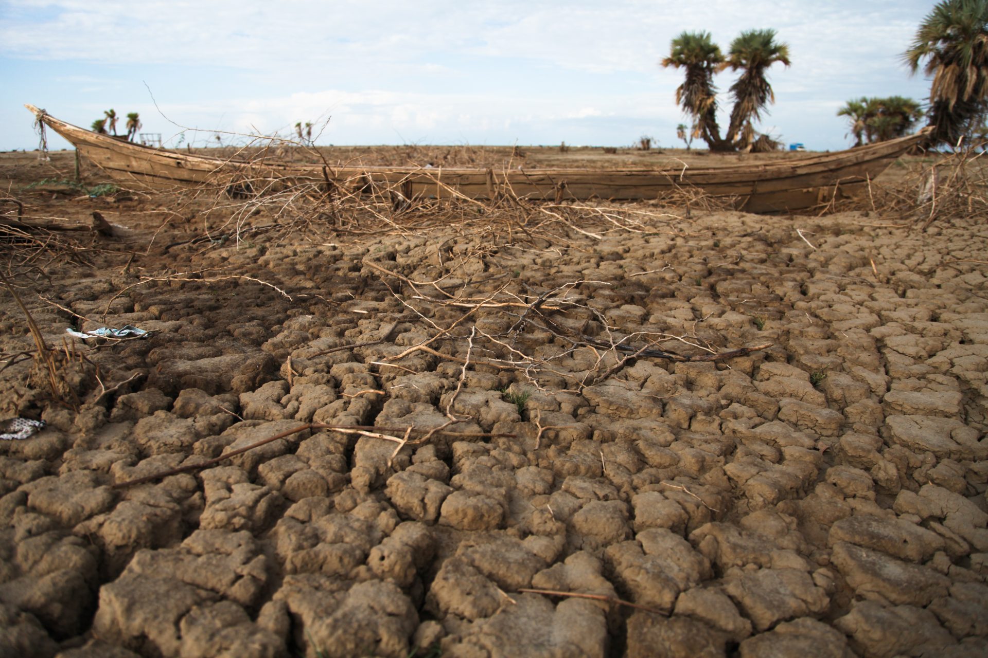 How to avoid the end of the world: Solutions to climate change, nuclear ...
