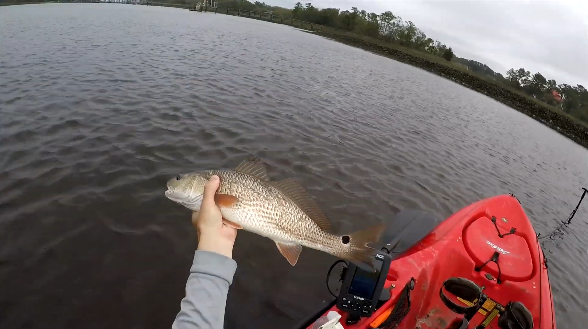 Catching Redfish With GULP Shrimp | Kayak Fishing Beaufort, SC
