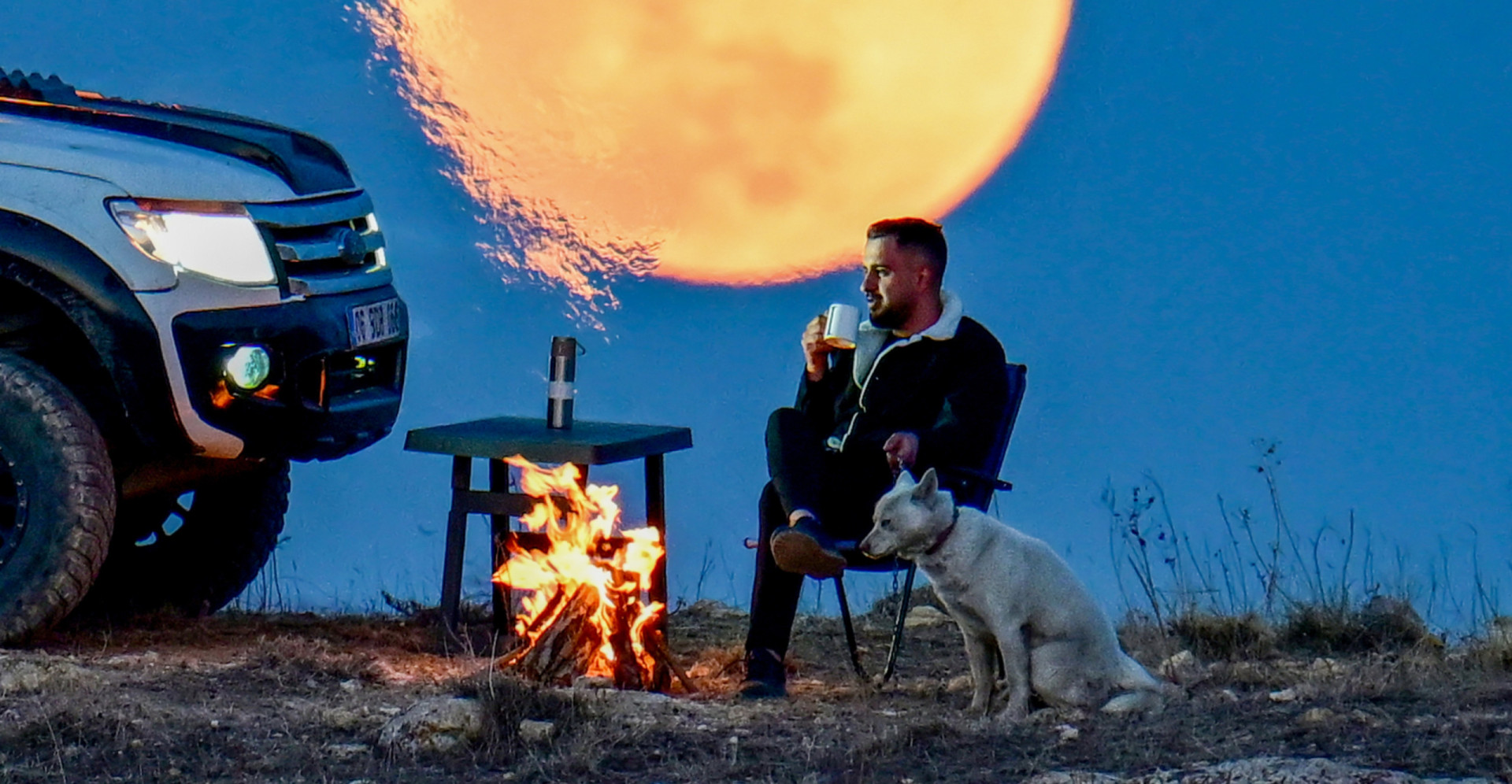 A guide to taking your dog on a road trip