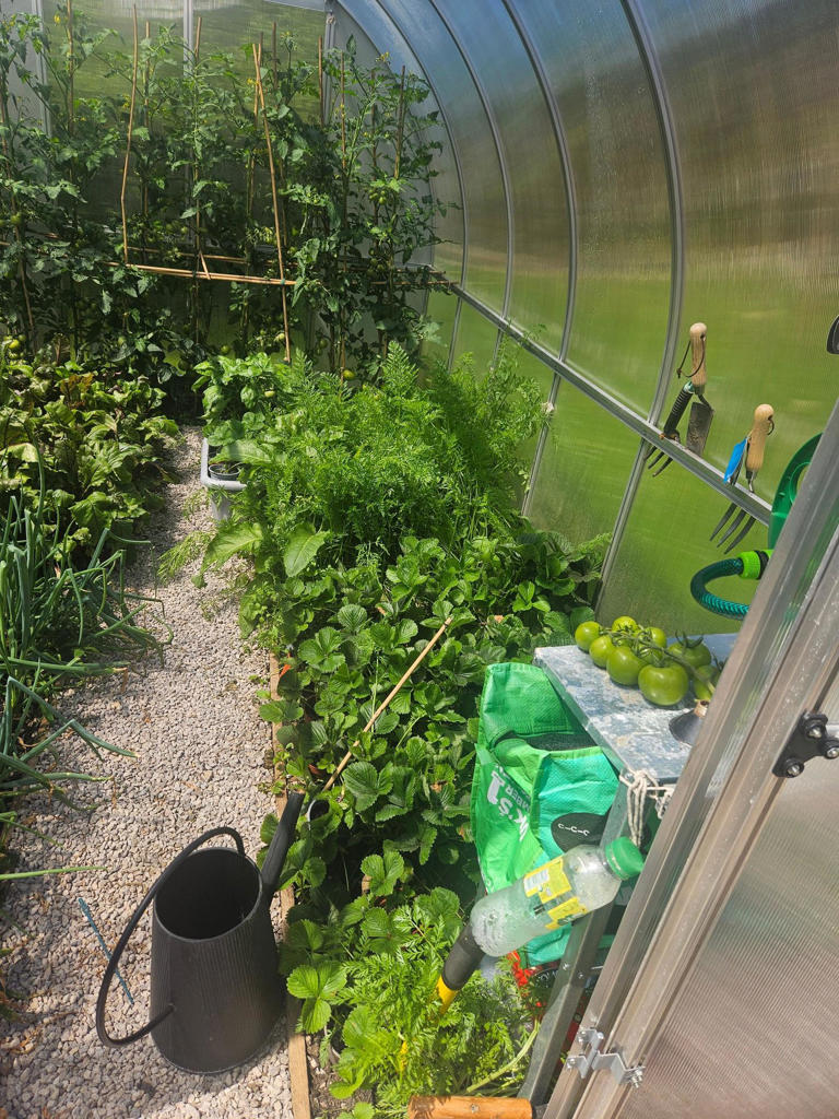 Wigan Care Home Celebrates Gardening Success in HC-One’s National ...