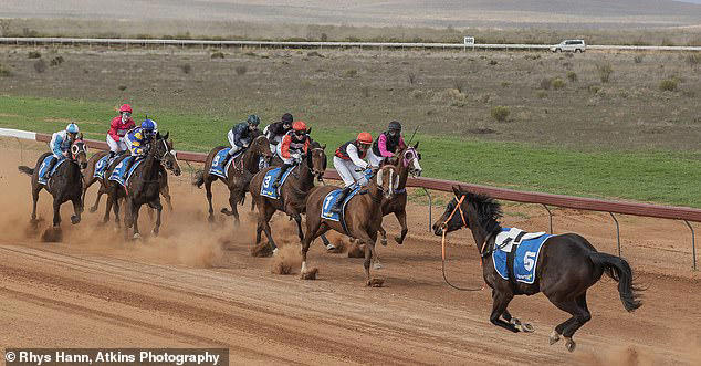 See hero horse trainer's WILD act as he risked his life to save others ...