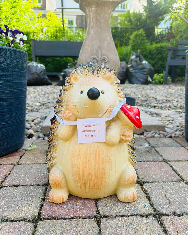 Newcastle Care Home Celebrates Gardening Triumph in HC-One’s National ...