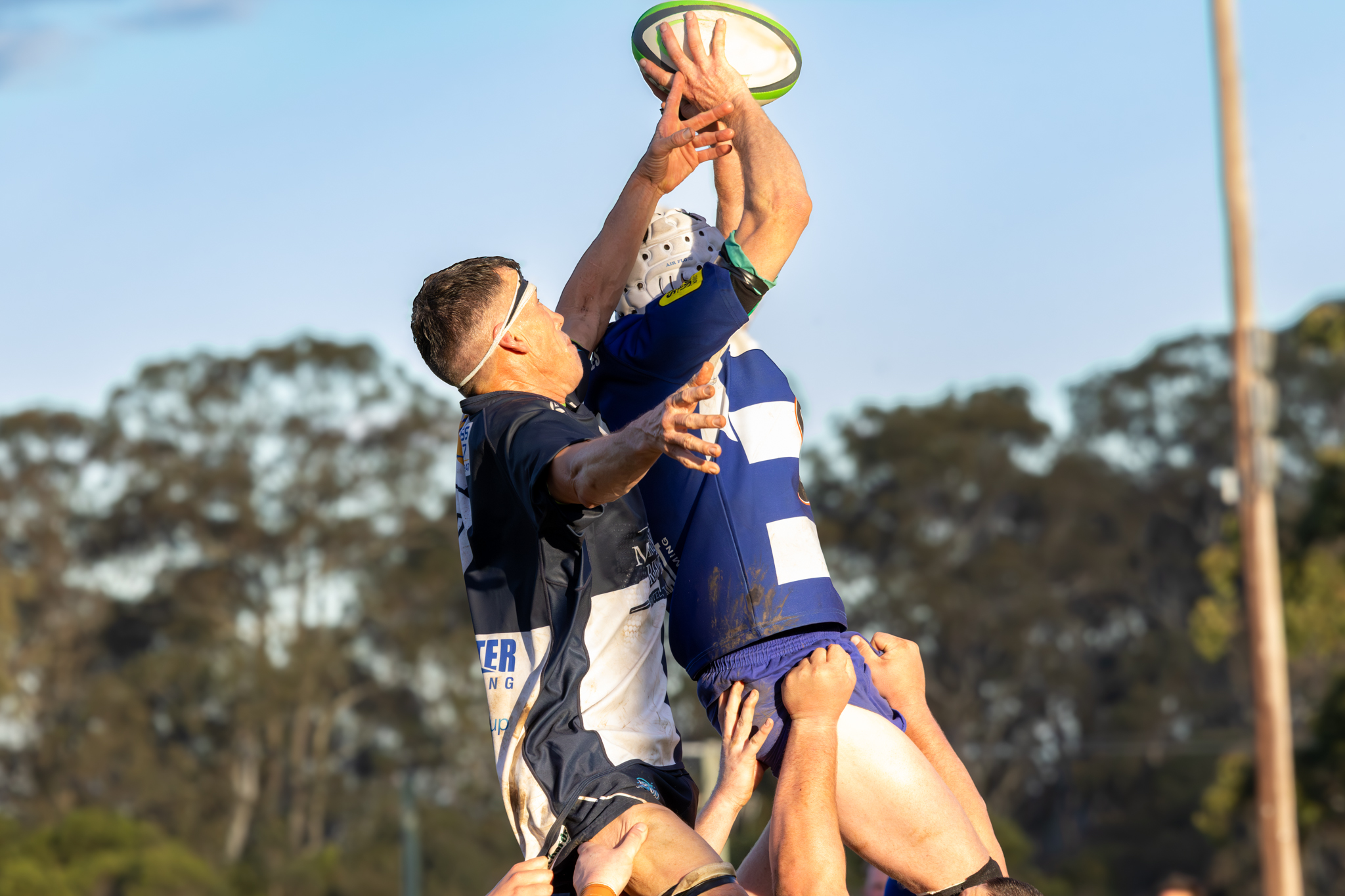 Manning River Ratz v Wallamba Bulls_16.8.2025