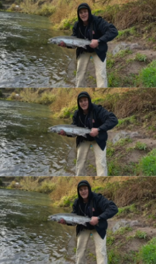 A Surprise Encounter: Spotting a Fish by the Shore