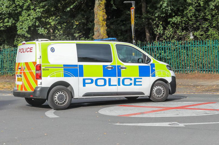 St George's Cross painted on mini-roundabouts triggers row between locals