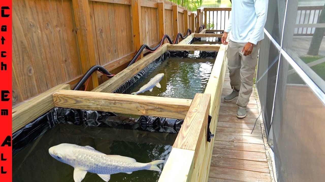 DIY Multi-Level Pond Build - Stunning Wood Frame Design for Koi