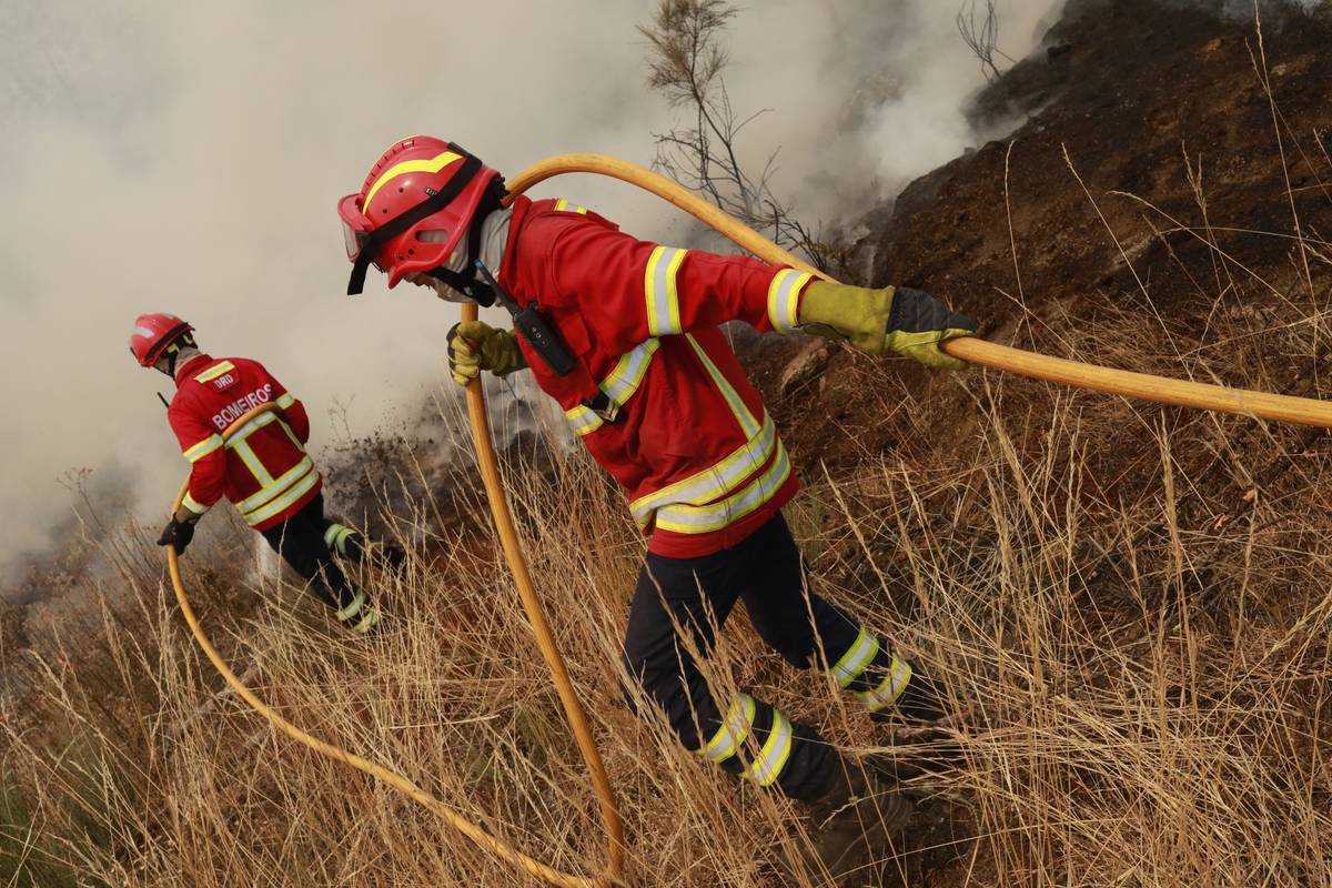 Incêndios: 13 mil operacionais e 78 meios áereos diponíveis para o ...