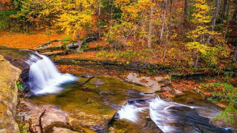 Ohio road named one of the best spots for a scenic fall drive. More on ...