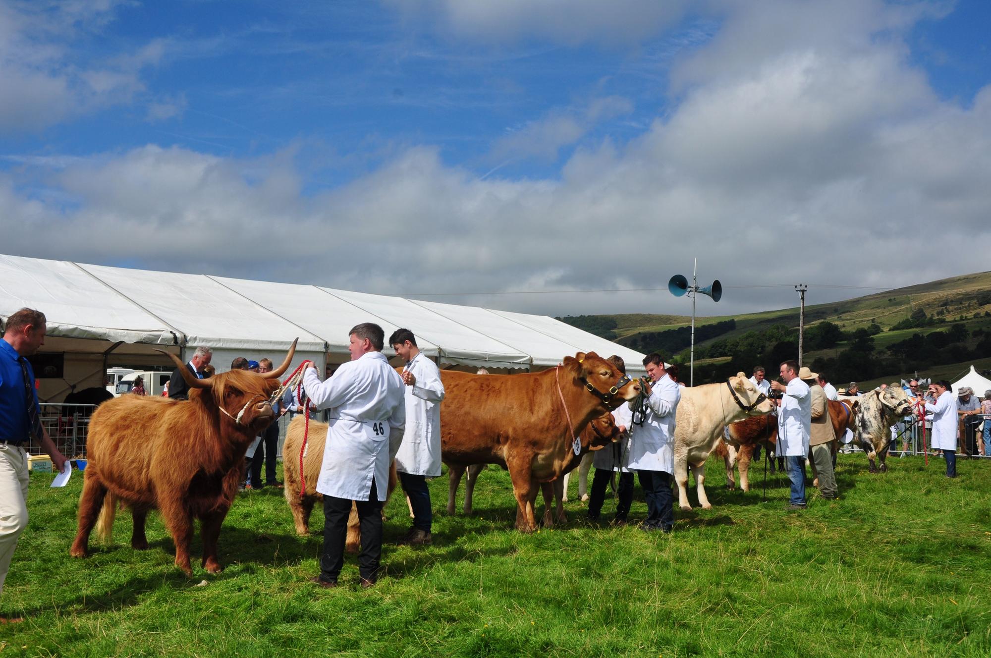 Hope Show livestock entries are top class